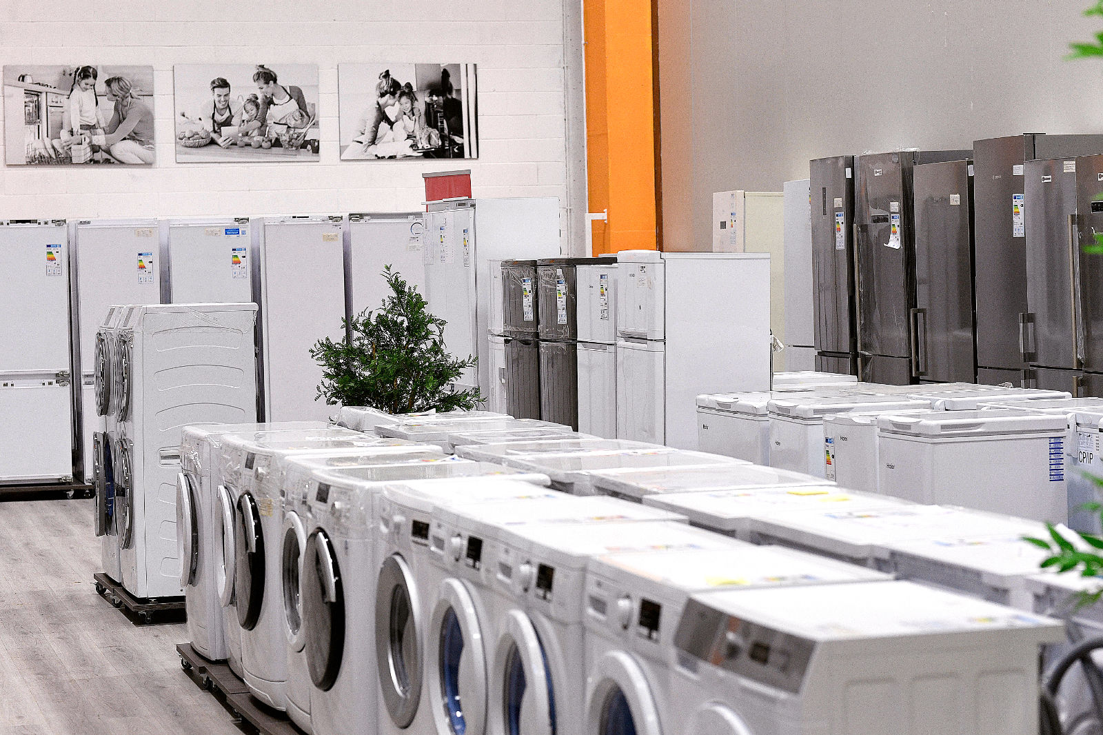 Universal Service Provider Vendita Elettrodomestici